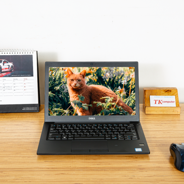 DELL LATITUDE E7290
